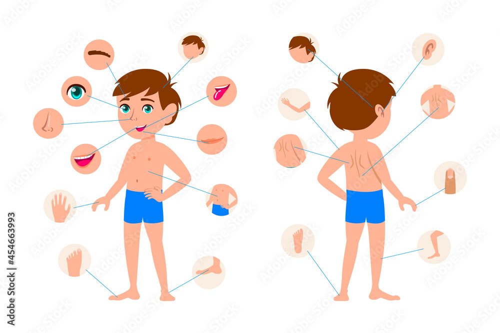 Body parts of little cartoon boy vector illustrations set. Cute kid ...