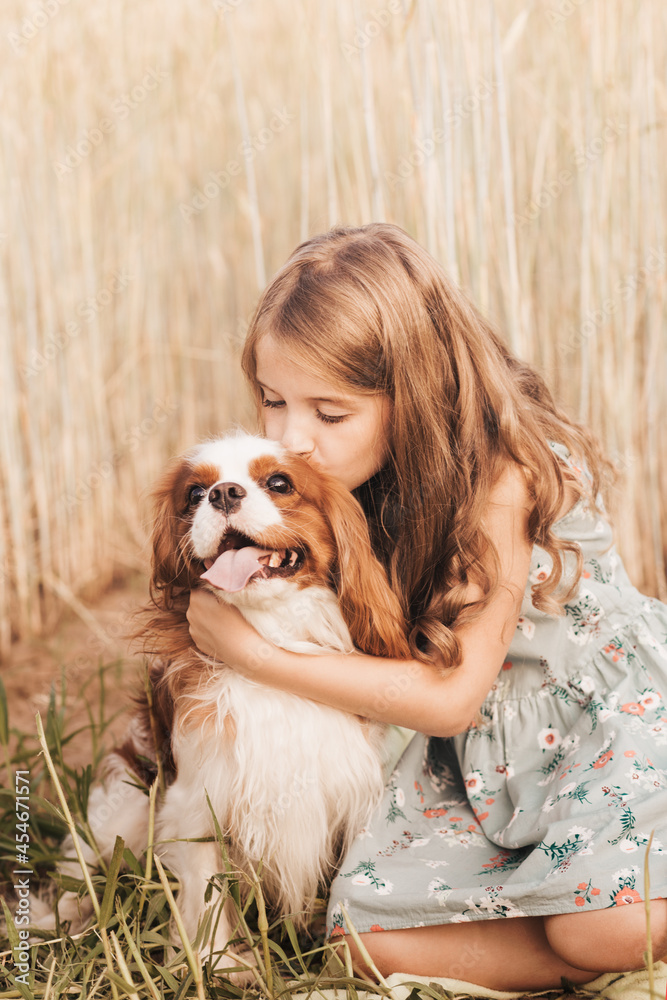 Little girl with a cavalier king charles spaniel dog playing in the ...