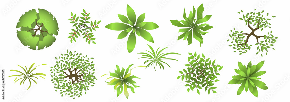 Plants Top View Vector