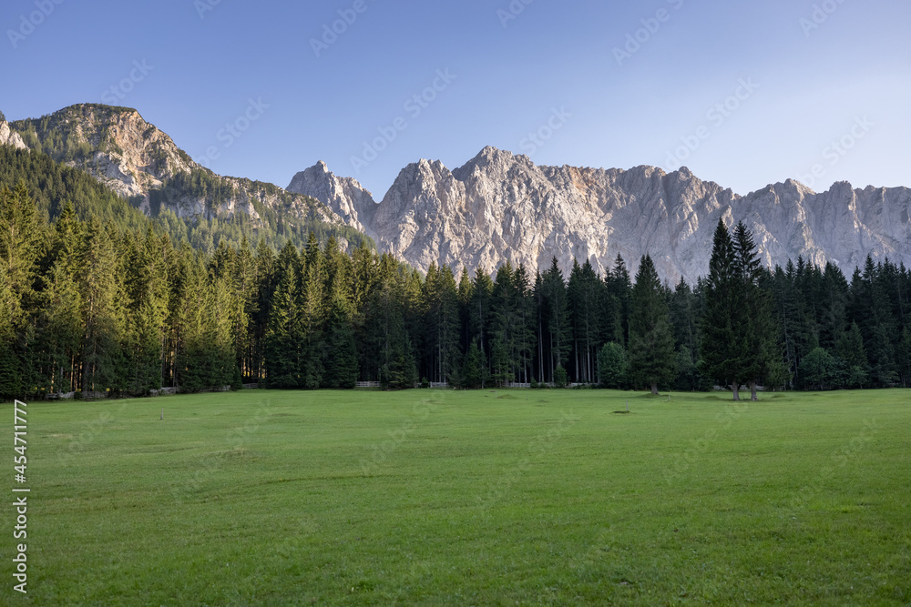 Schattige Wiese mit Wald und in der Sonne liegendem Bergpanorama im ...