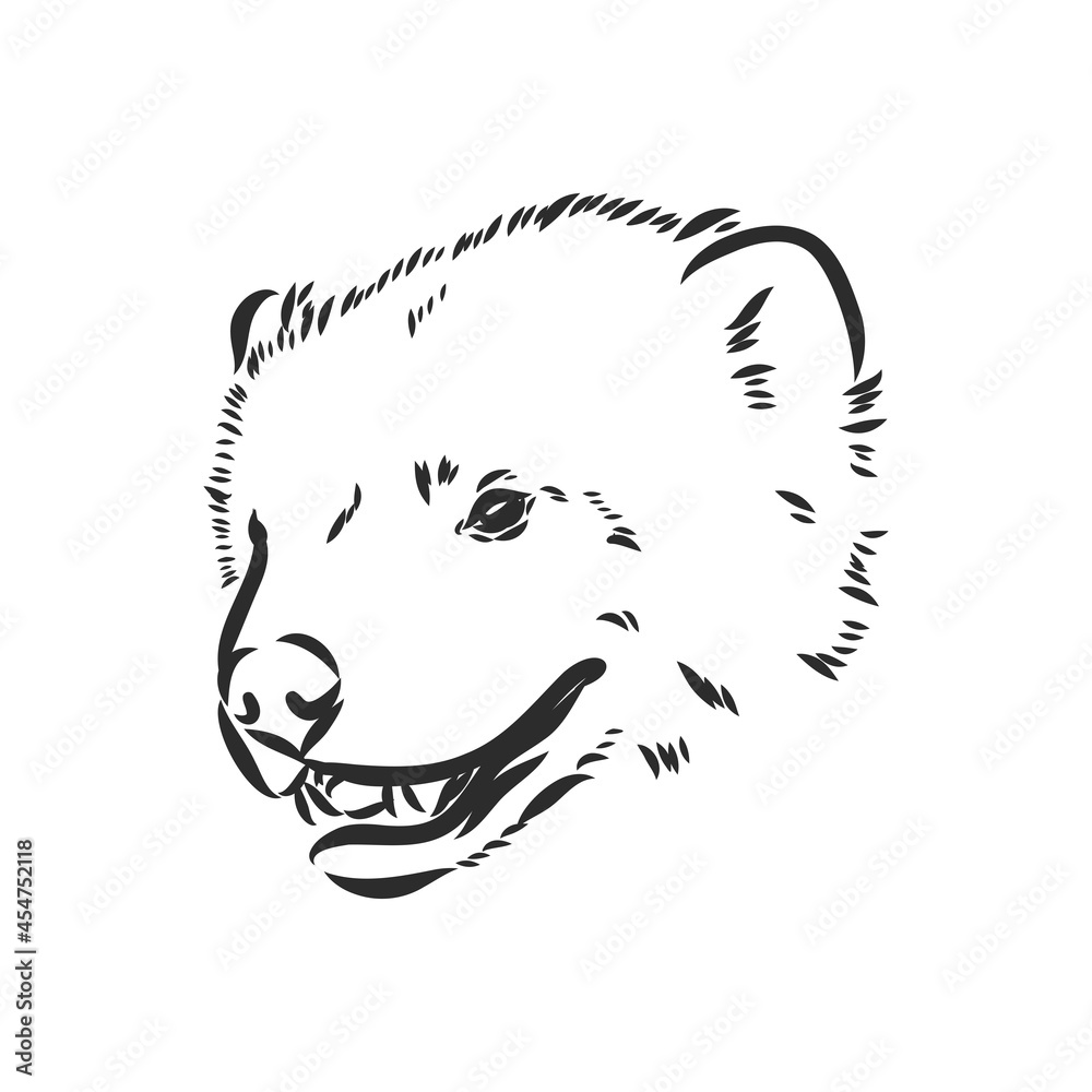 vector hand sketch drawing illustration of a wolverine done in black ...
