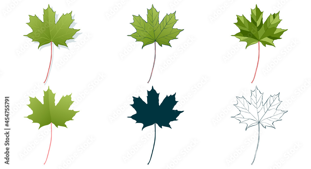 Big set of vector fall tree leaf shapes drawing in different styles ...