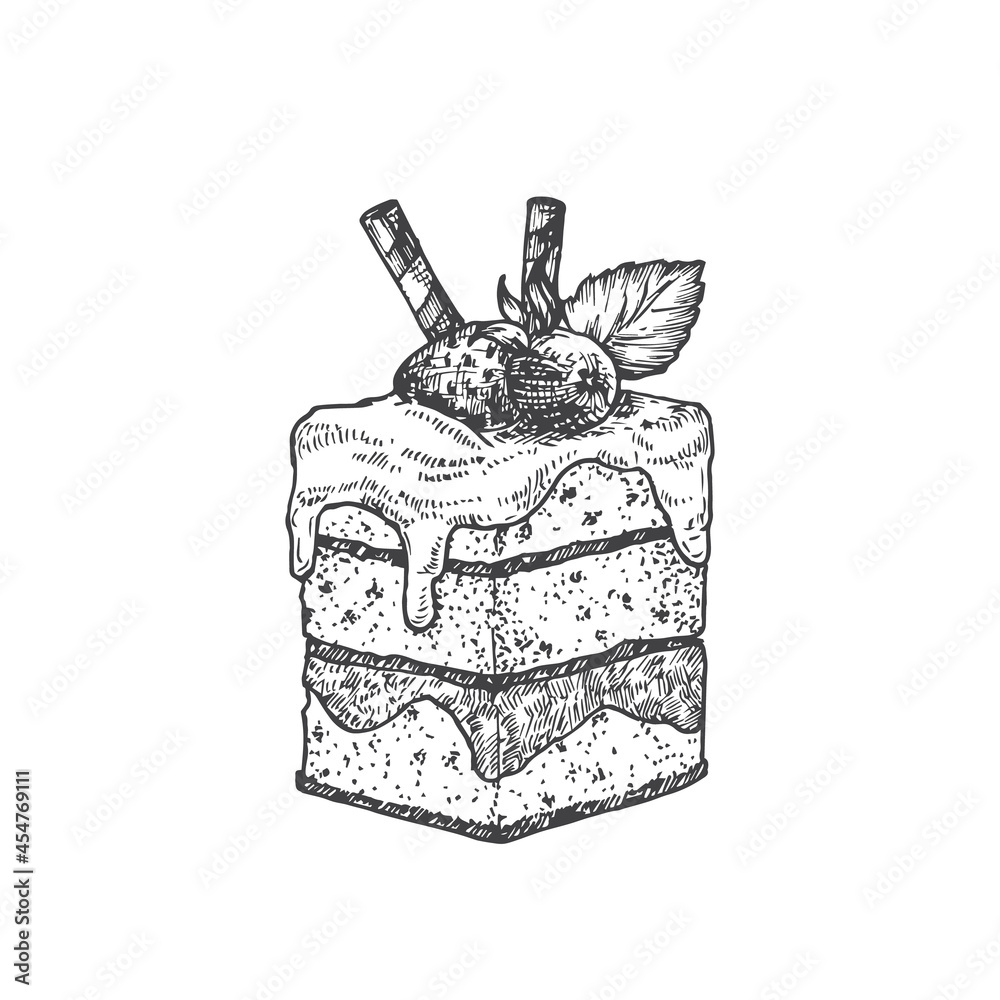 Square Cake with Berries Sweets Hand Drawn Doodle Vector Illustration ...