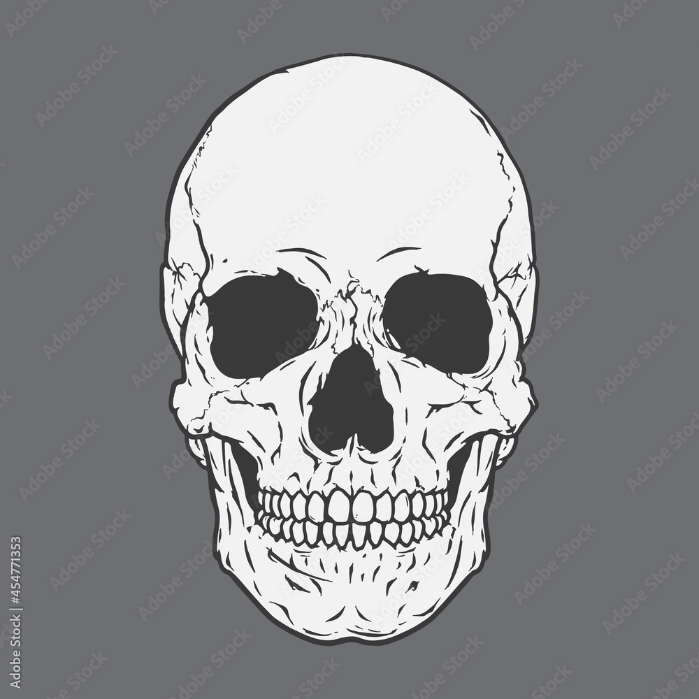 Human Skull, Skeleton Head, Hand Drawn Line Art, Vector Illustration ...
