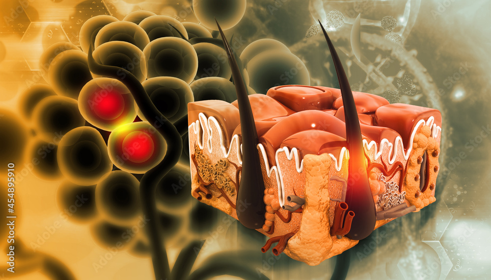 Skin anatomy structure background. Dermatological skin disease. 3d ...