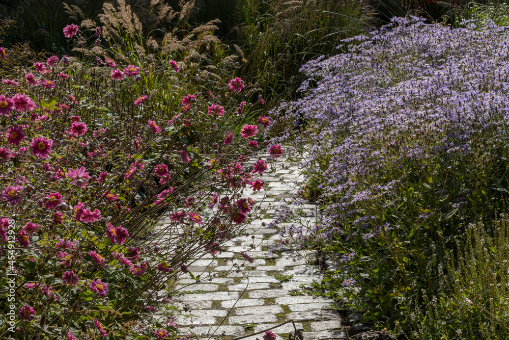 Weg durch ein Staudenbeet im Maximilian Park in Hamm Stock Photo ...