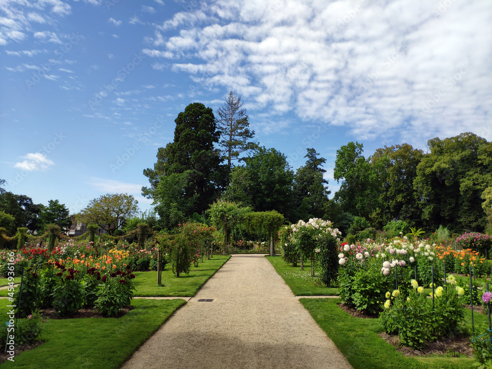 Parc du Thabor a Rennes Stock Photo | Adobe Stock