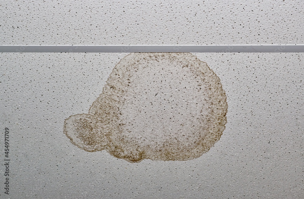 Dried water stain damage from ceiling leaking from rain storm inside ...