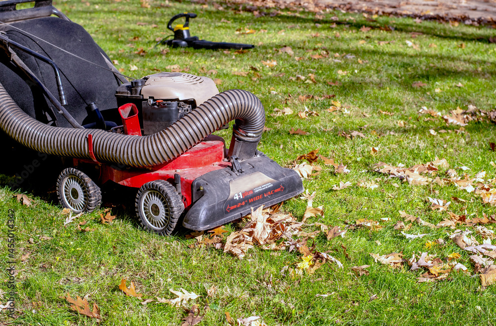 Lawn care equipment for fall, a leaf blower and a leaf vacuum for ...