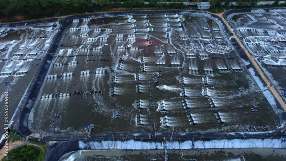 shrimp farm, prawn farming with with aerator pump oxygenation water ...