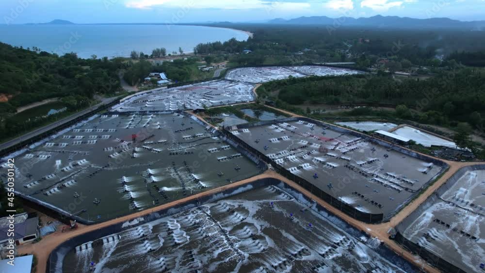 shrimp farm, prawn farming with with aerator pump oxygenation water ...