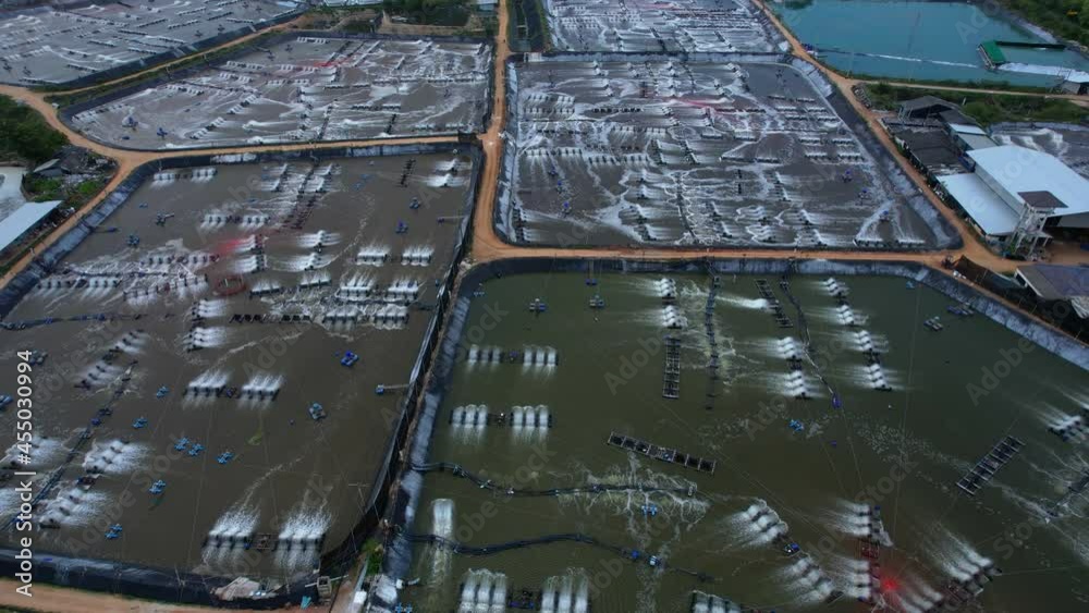 shrimp farm, prawn farming with with aerator pump oxygenation water ...