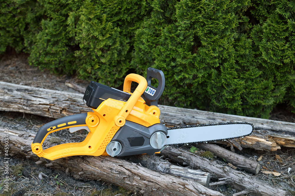 New chainsaw with old wood in the garden side view Stock Photo | Adobe ...
