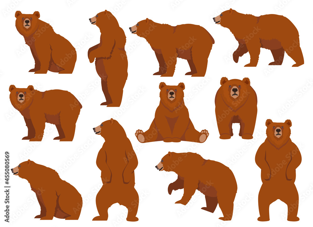 Brown Bear Set. Isolated white. Animals character. Stock Vector | Adobe Stock