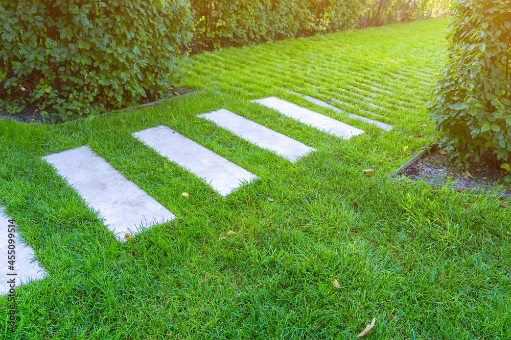 Green lawn and road surface from paving slabs in backyard. Gray color ...