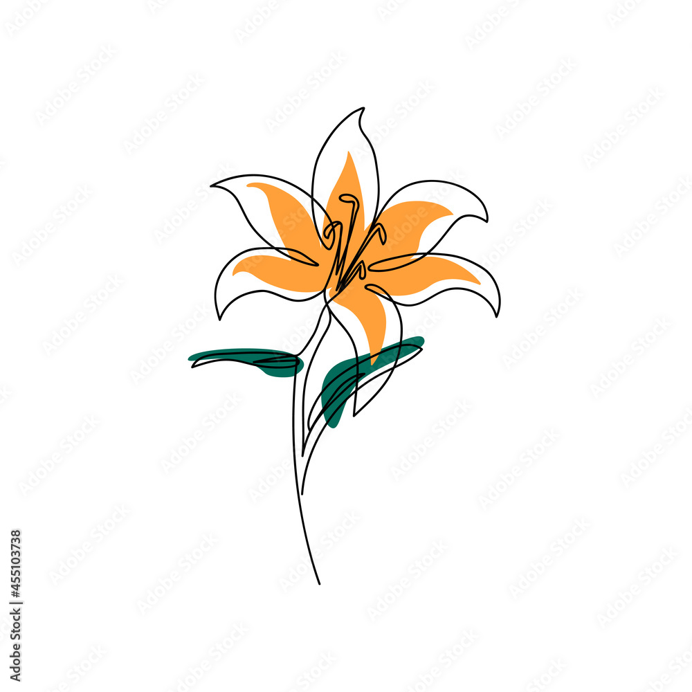 The lily flower is drawn with a single line. Linear art. Flower ...