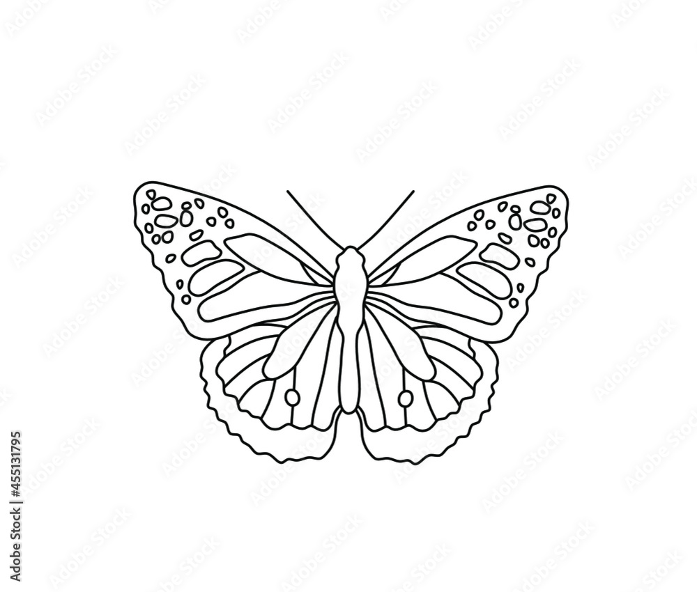 Vector isolated butterfly line drawing. Colorless contour black line ...