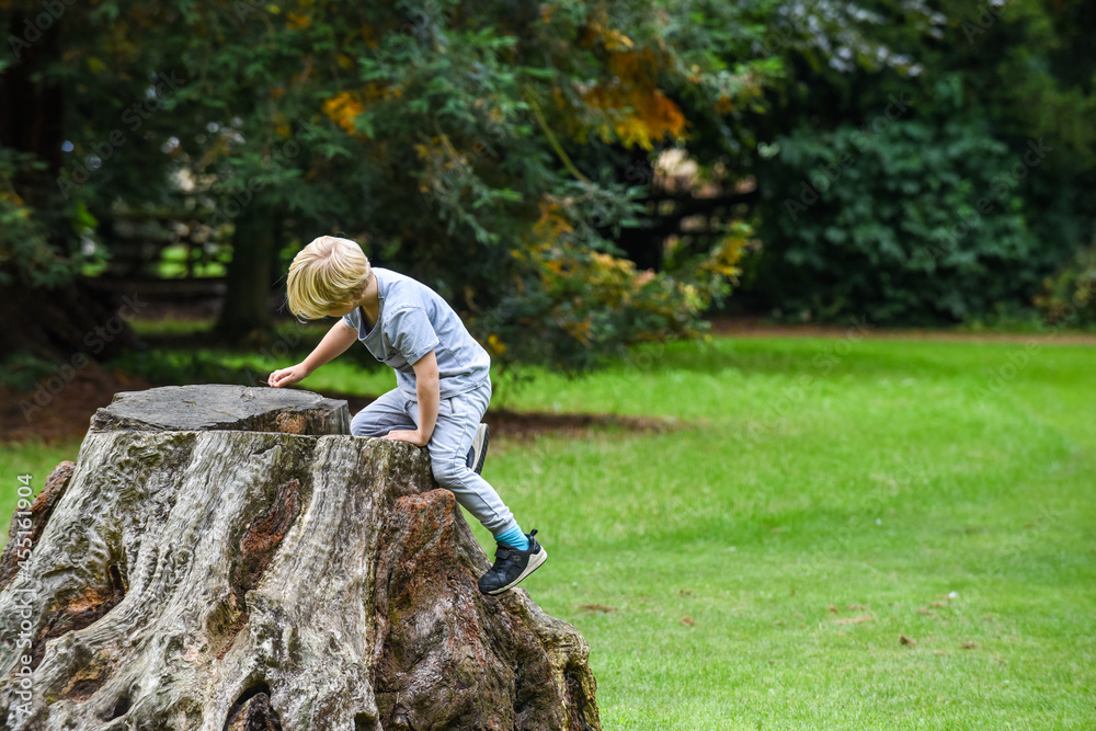 Child playing outside the young boy is having fun jumping from a tree ...