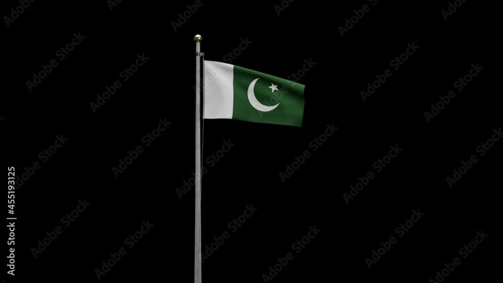 3D illustration Alpha channel of Pakistani flag waving on wind. Close ...