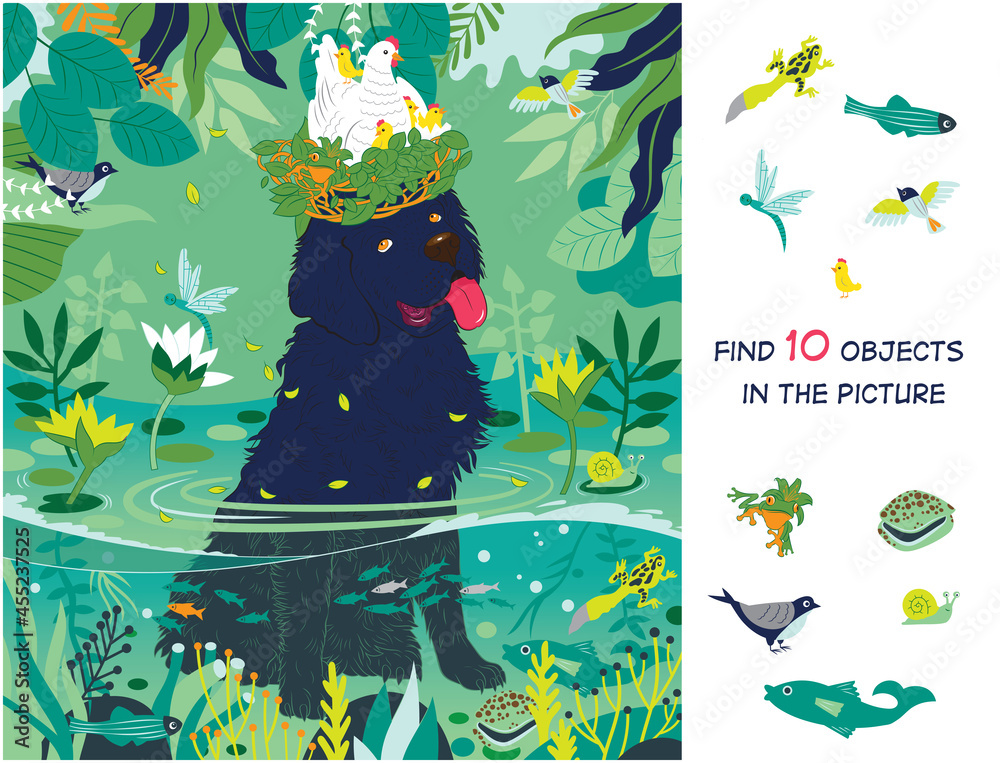 The fearless Newfoundland dog rescues a nest with hen and chickens ...