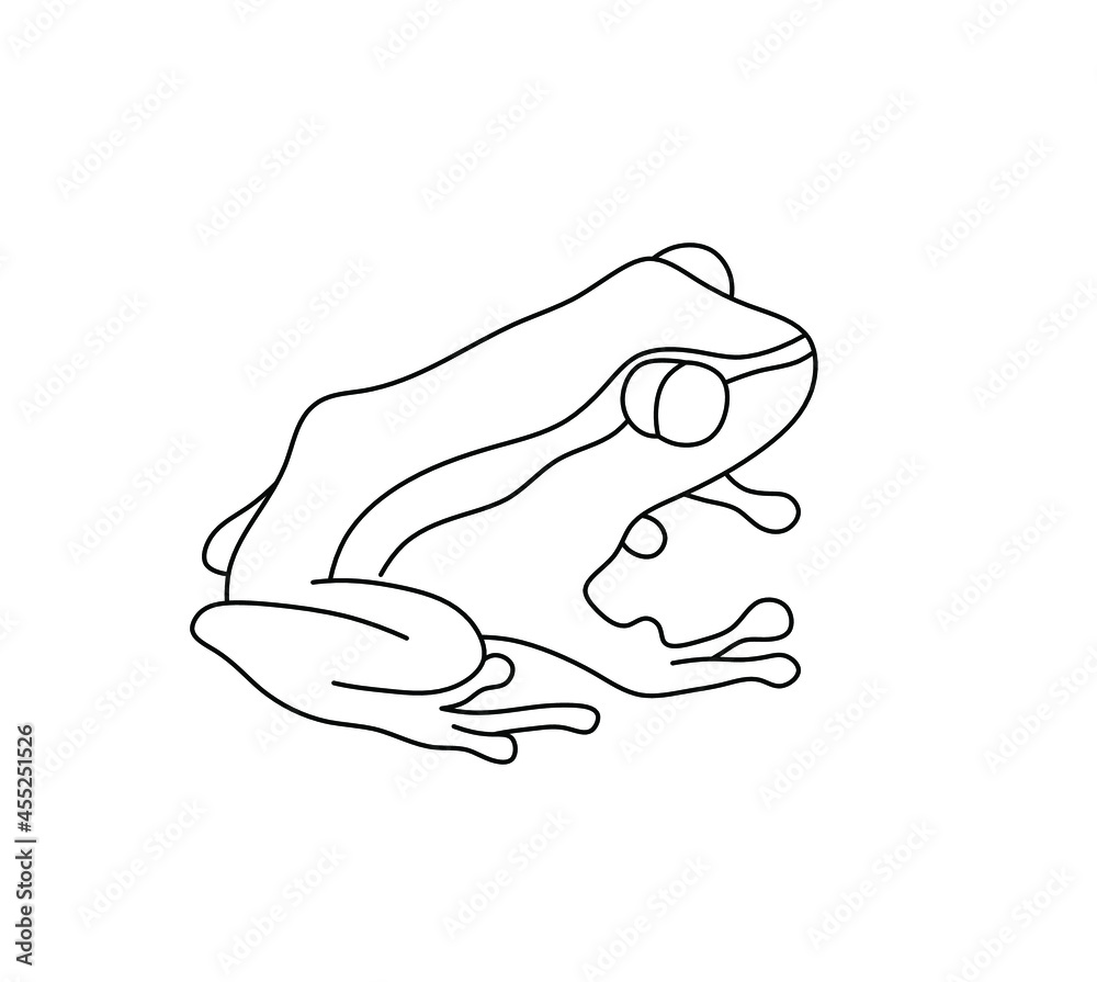 Vector isolated frog line drawing. Cute catroon frog contour line ...