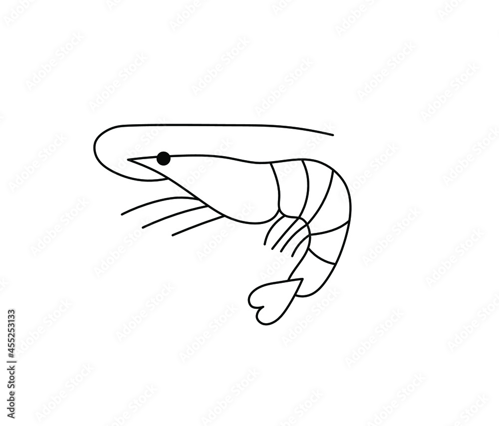Vector isolated shrimp line drawing. Cute cartoon shrimp langoustine ...