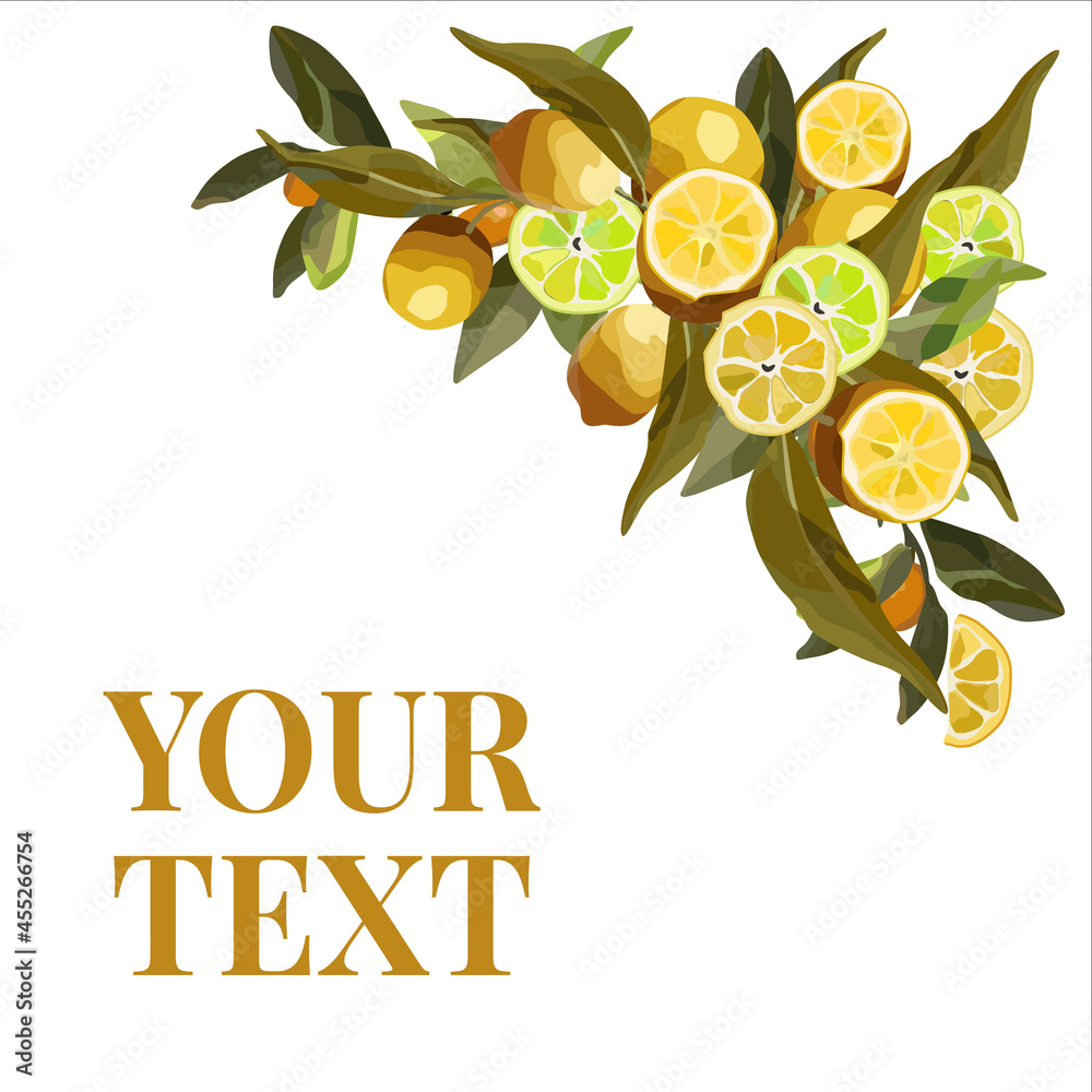 Frame of lemon branches. Vector border for lemonade labels, summer ...