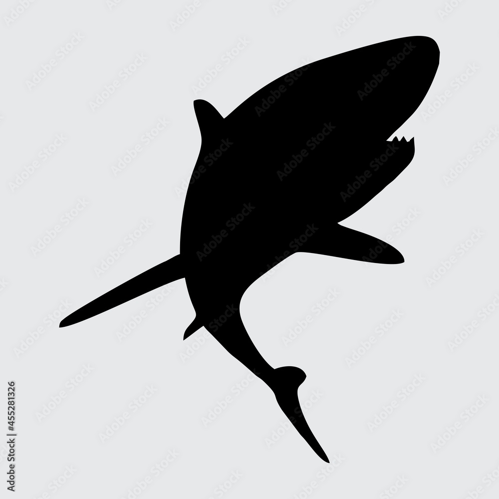 Shark Silhouette, Shark Isolated On White Background Stock Vector ...