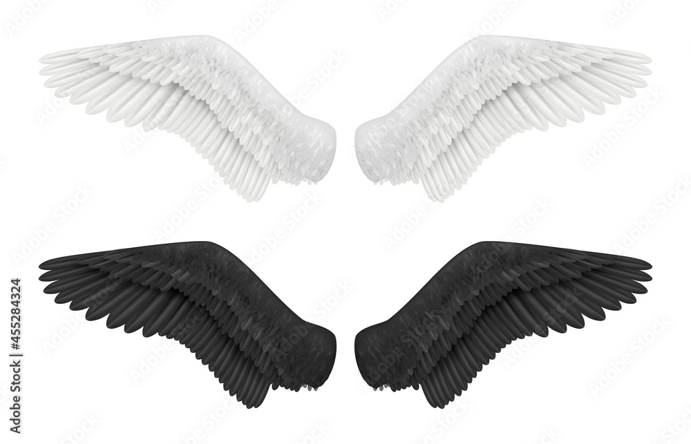 White and black wings. Angel and demon wings birds feathers gothic ...