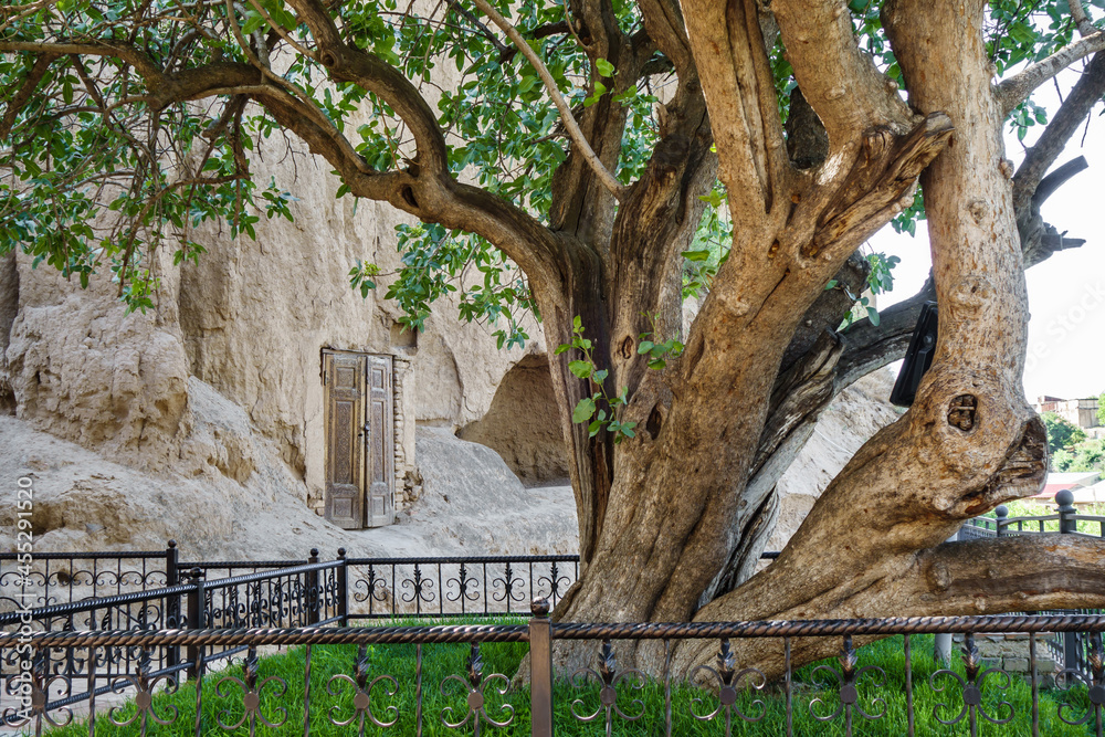Sacred pistachio tree and hermit's dwelling in the rock (door in the ...