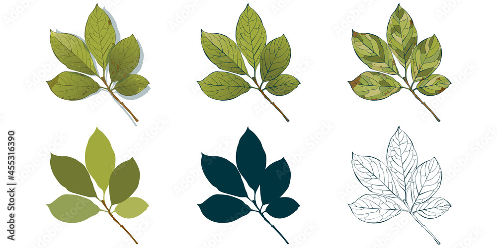 Big set of vector fall tree leaf shapes drawing in different styles ...