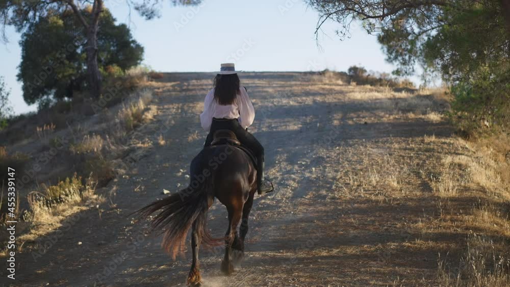 Back view of graceful horse galloping up the hill with female ...