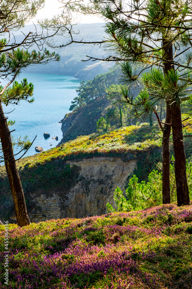 Foto de Paysage magnifique de Presqu'île de Crozon, Bretagne, France ...