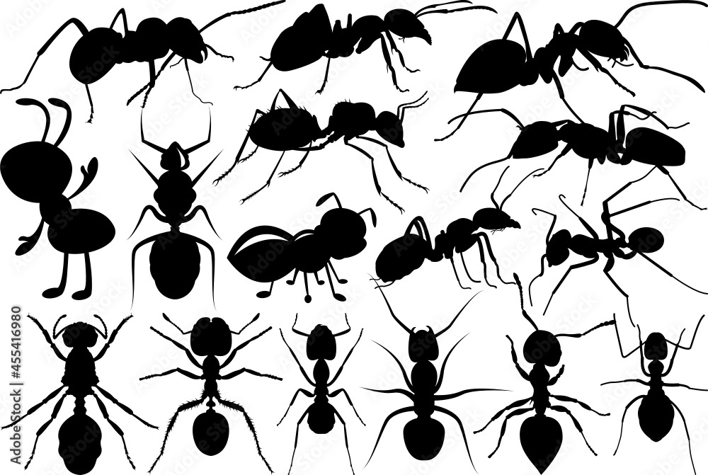 Ants SVG Cut Files | Ants Silhouette | Ant Svg | Tiny Ants Svg | Insect ...
