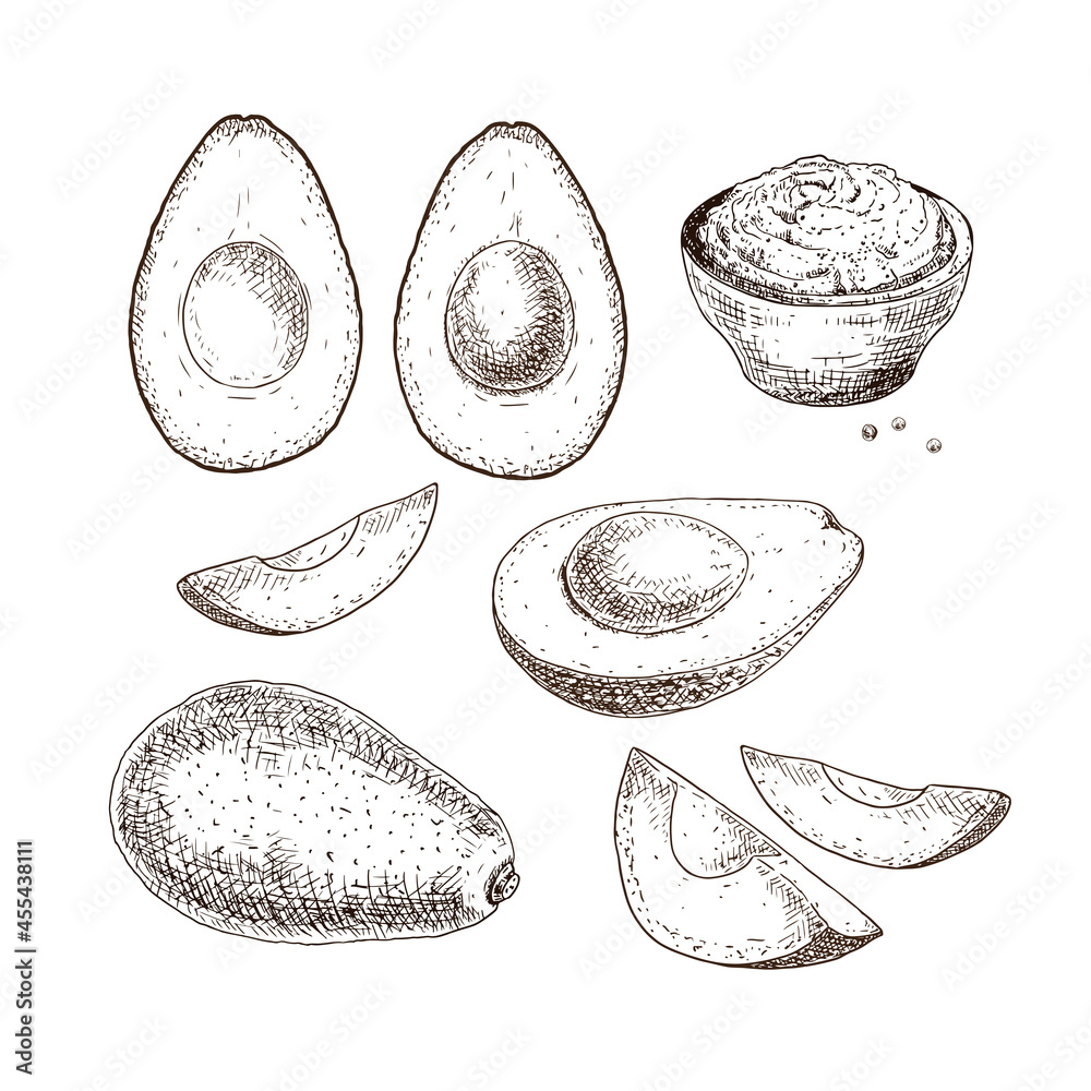 Hand drawn avocado. Set sketches with cut avocado and avocado sauce ...