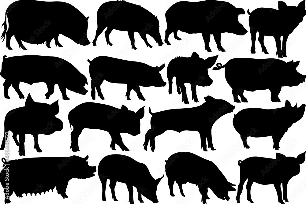 Pig SVG Cut Files | Pig Silhouette | Pig Svg | Hog Svg | Pig Head Svg ...