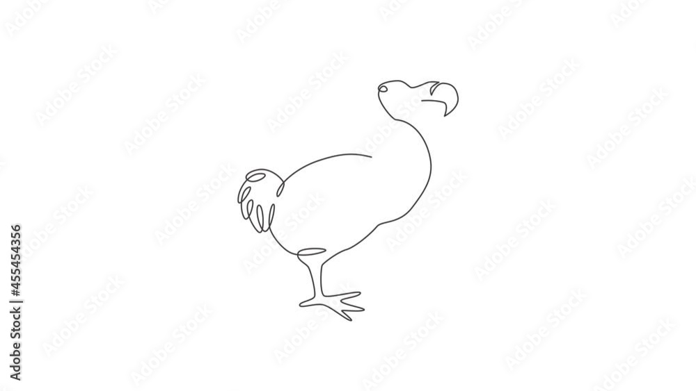 Animated self drawing of one continuous line draw cute funny dodo bird ...