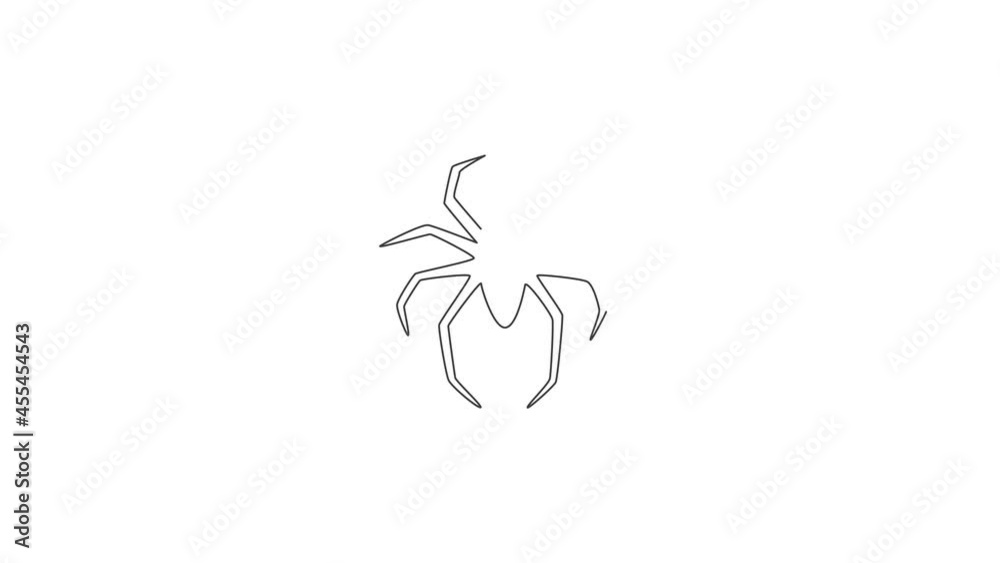 Animated self drawing of one continuous line draw spider spreading the ...