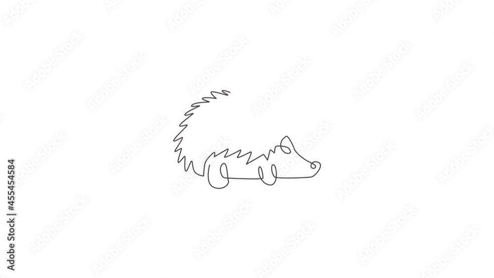 Animation of one single line drawing of adorable beauty tiny hedgehog ...