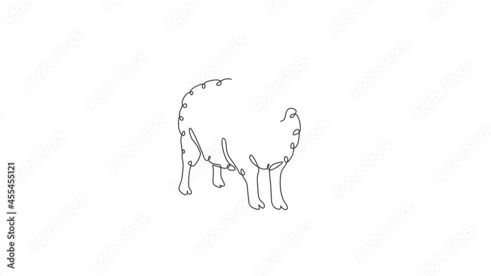 Animation of one single line drawing of cute funny sheep for stock ...