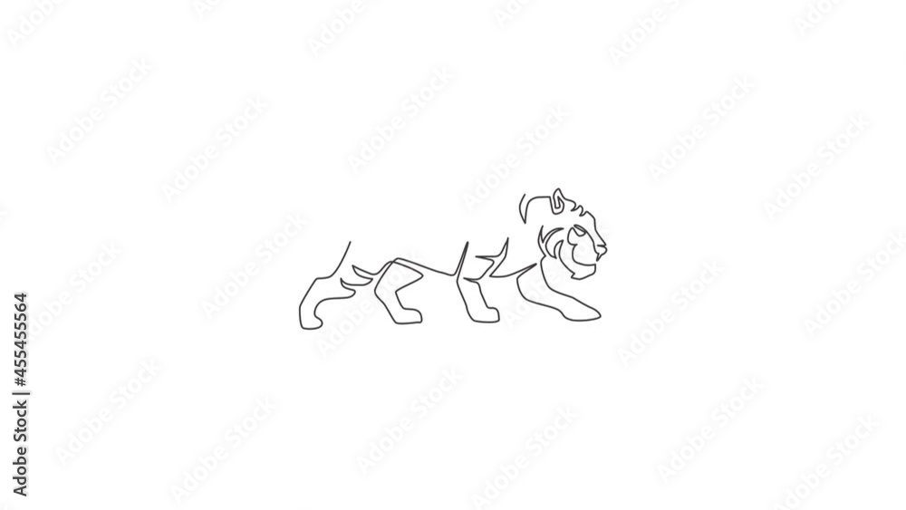 Animation of one line drawing of wild Sumatra tiger for company logo ...