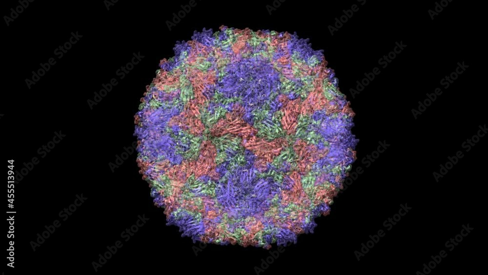 Crystal structure of human Enterovirus 71, animated 3D cartoon and ...