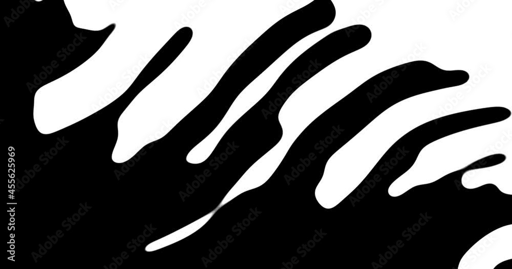 Vidéo Stock 4k animation of changing black to white and white to black ...