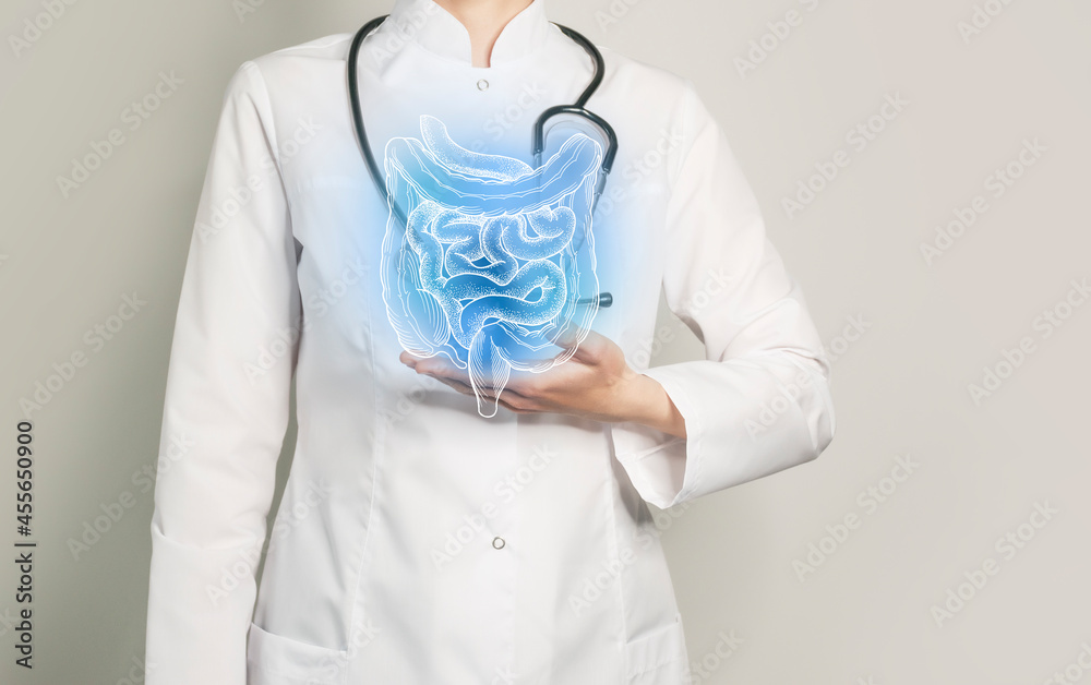 Gastroenterologist doctor, intestine specialist. Aesthetic handdrawn ...