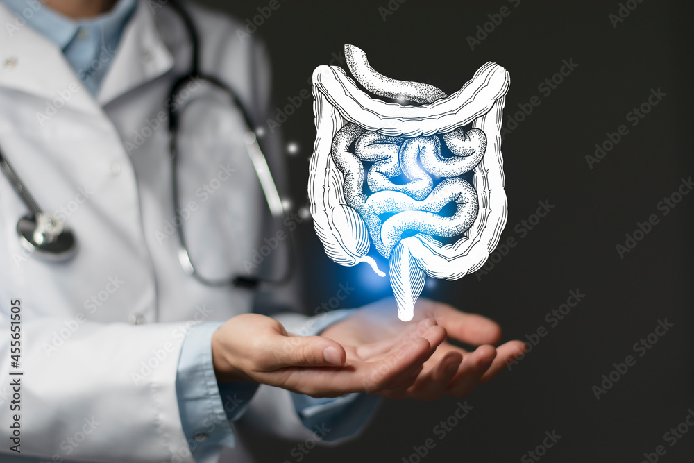 Gastroenterologist doctor, intestine specialist. Aesthetic handdrawn ...
