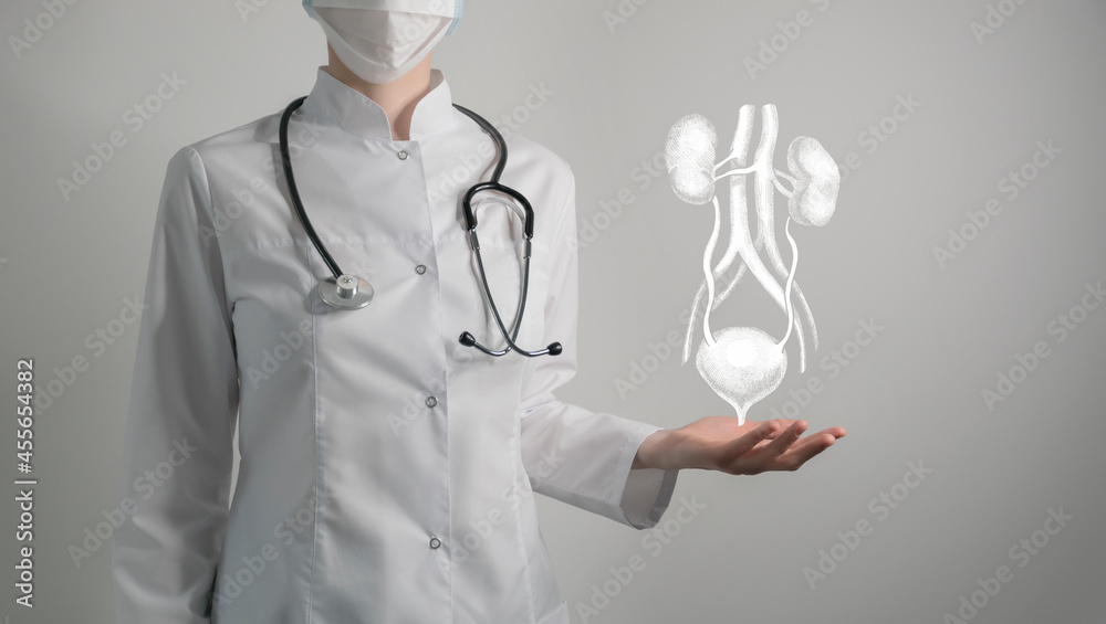 Nephrologist doctor, renal system specialist. Aesthetic handdrawn ...
