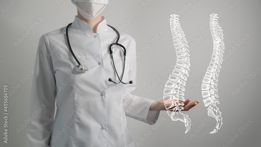 Surgeon doctor, spine specialist. Aesthetic handdrawn highlighted ...