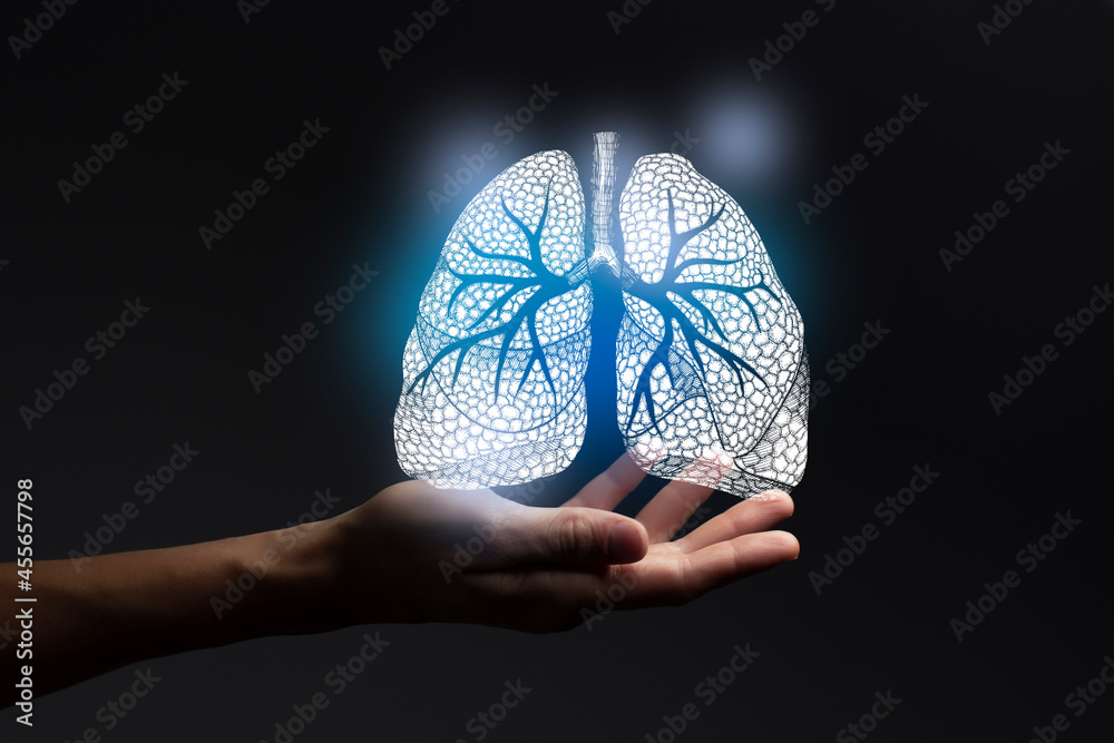Aesthitic handdrawn illustration of human lungs highlighted blue. Photo ...