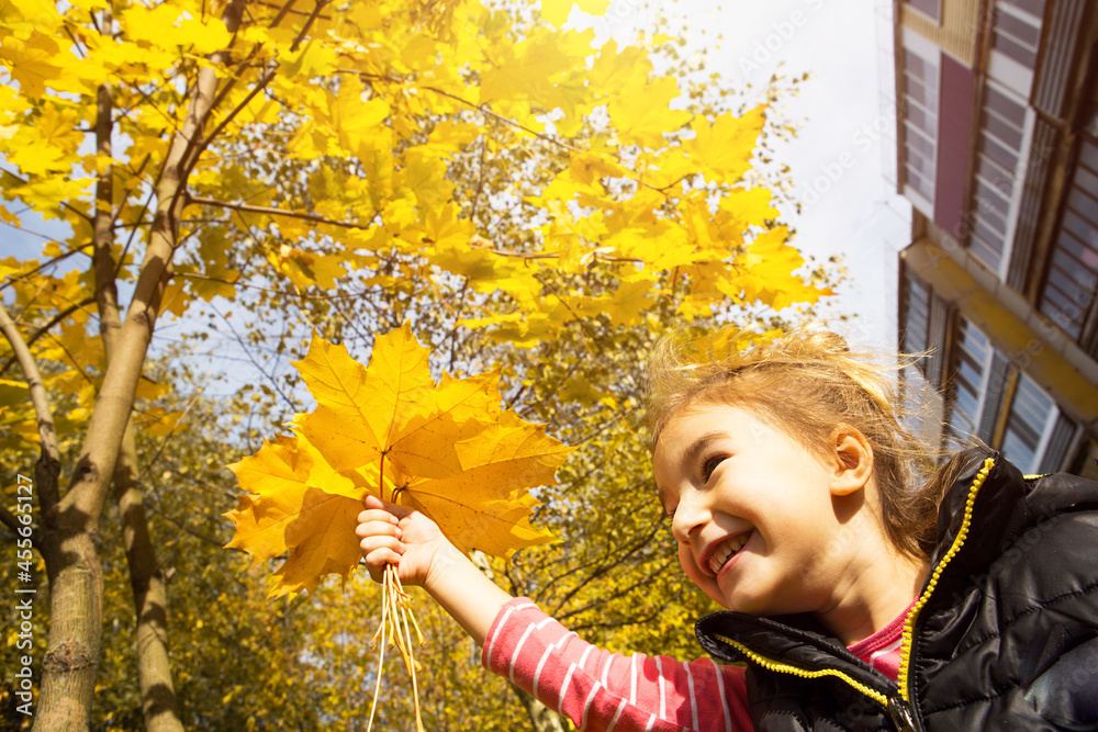 Happy little girl with bouquet of yellow maple leaves in her hand is ...