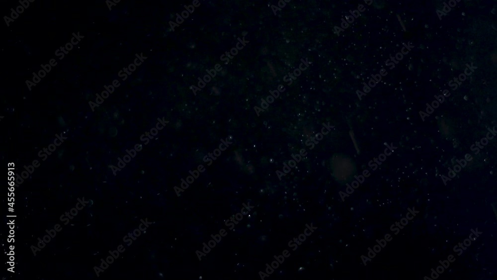 Bright particles in the air on a black background. Some of the ...